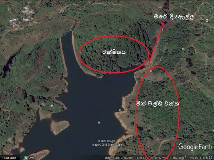 Holiday Resort construction in Sri Pada area Suspended | Gossip Lanka ...