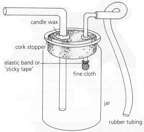 Old writer on the block: Using a pooter (or inhalator)