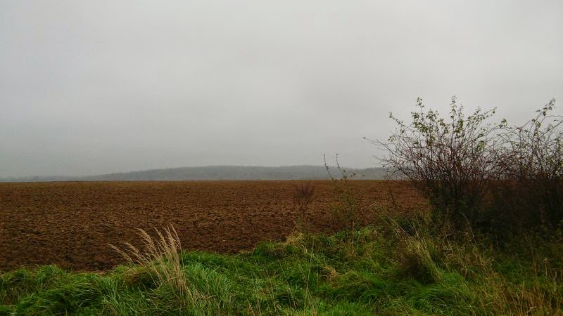 zase ta Lucie!: Sychravo. Konečně!