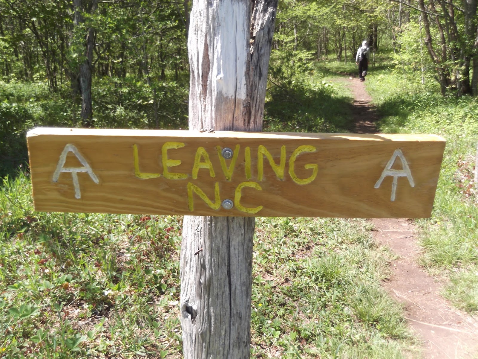 Appalachian Trail Section hiking: Carver's Gap to US 19E, northbound