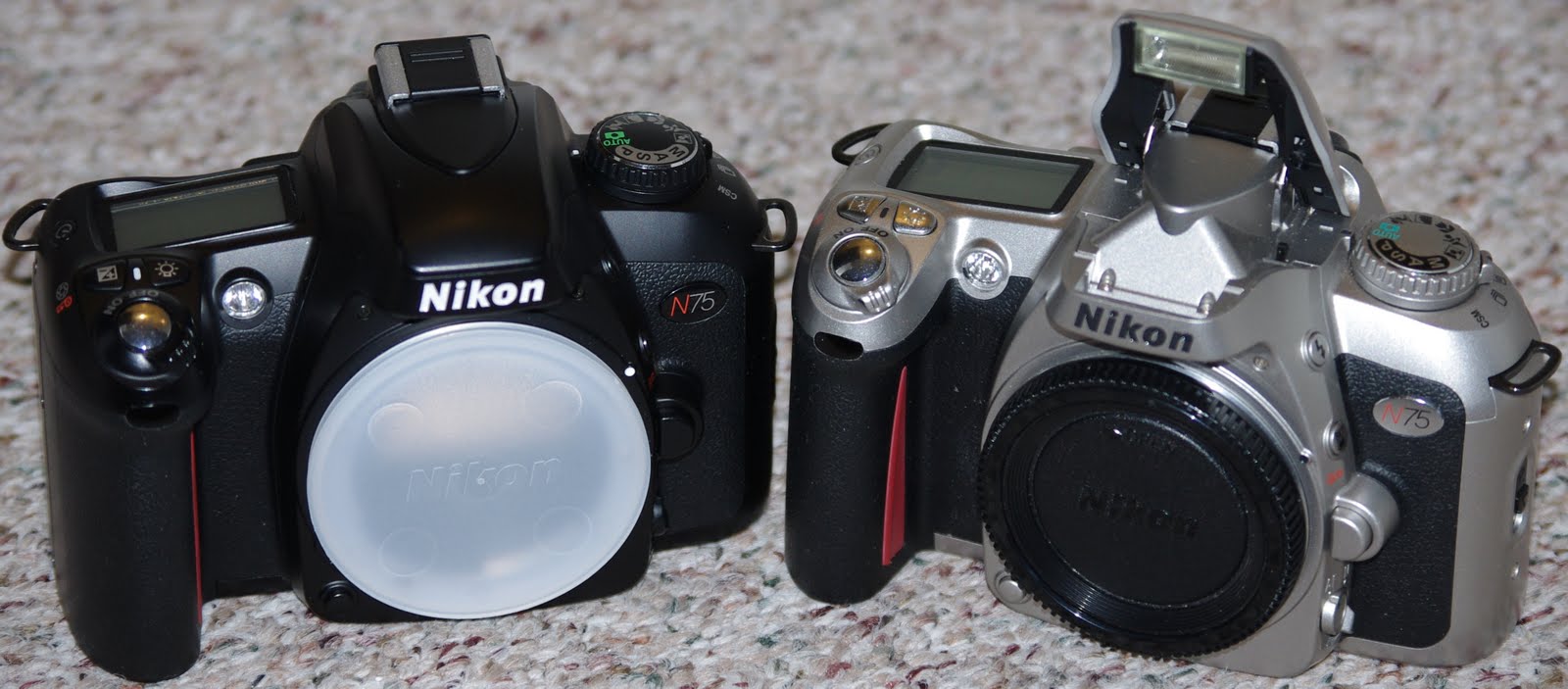 The Chens: The User’s Review: Nikon N75 (F75) 35mm Film Camera