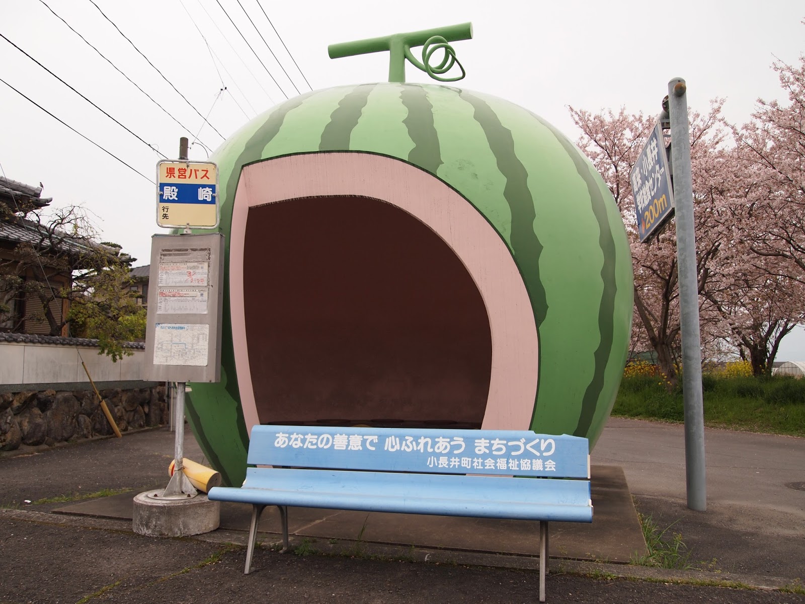 Dream Tours Japan: Unique Bus Stops: Konagai, Nagasaki Prefecture