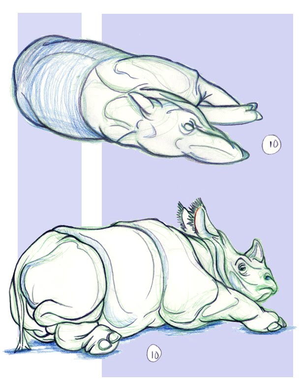 Nate's Art Jam Session: Animal Life Drawing - Toronto 2011