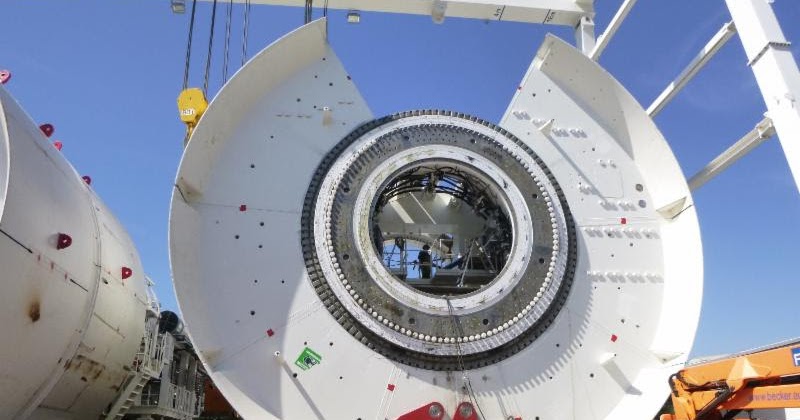 The Pocomoke Public Eye: Meet "Chessie"