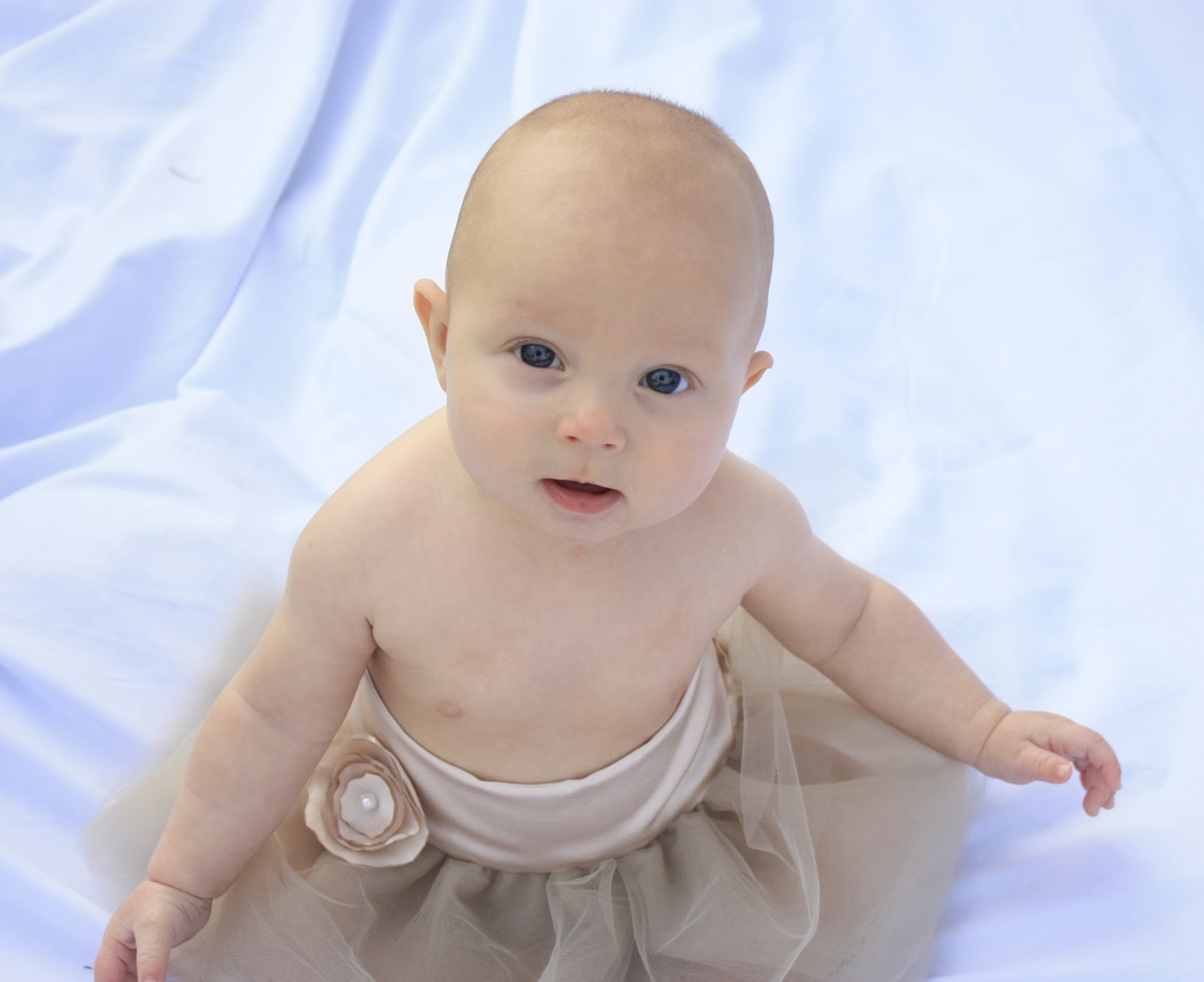 Petit Lambie: TUTU Cute!