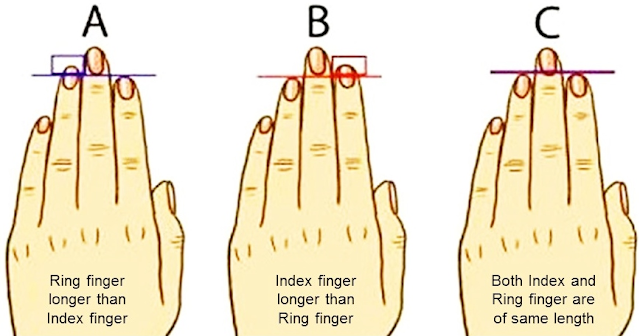 Fingers and Palm Tells About Your Personality and Behavior | Education ...