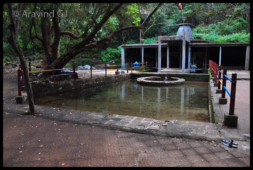 Treks and travels: Amboli