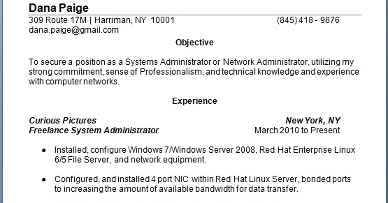 IT System Administrator Sample Resume Format in Word Free Download