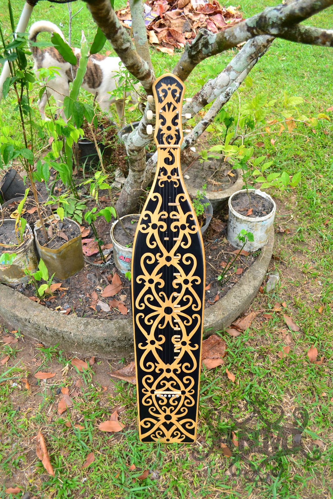 Borneo Native Musical Instrument: Sape' 3