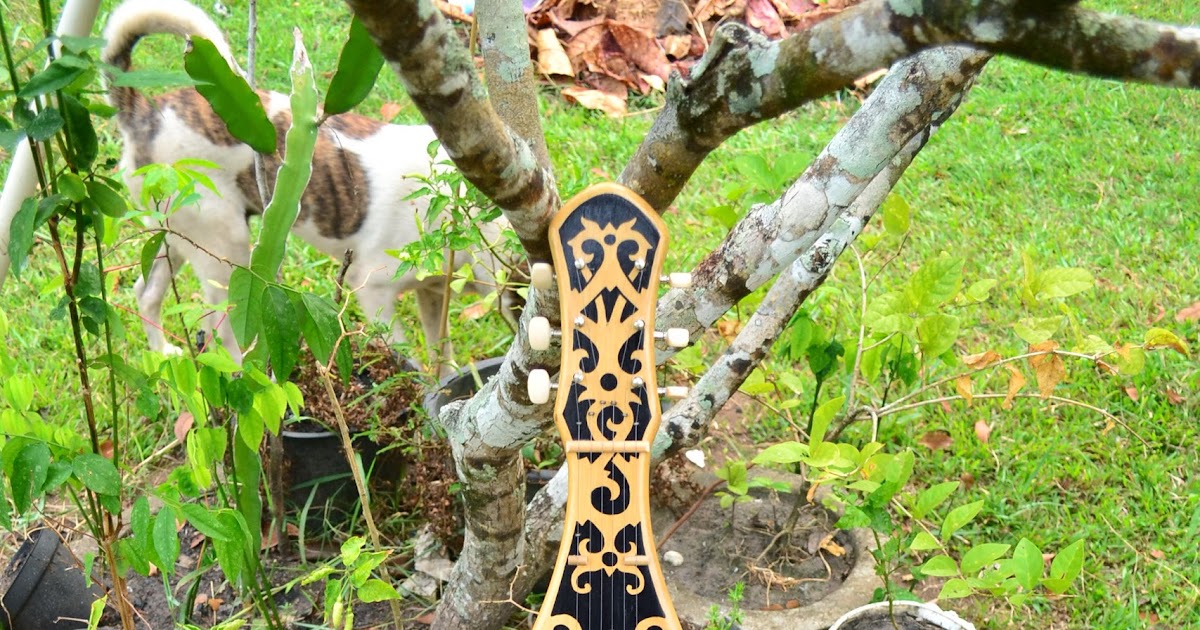 Borneo Native Musical Instrument: Sape' 3