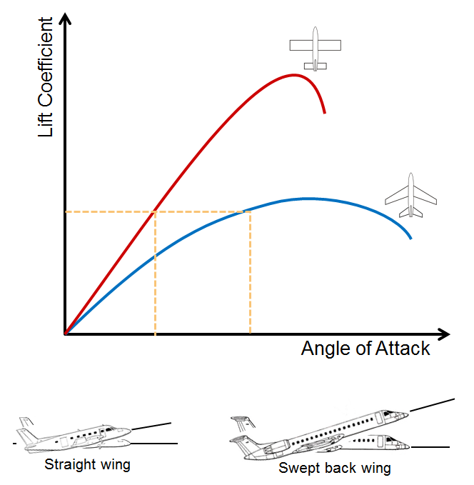 La forma del ala (ala en flecha Vs ala recta)