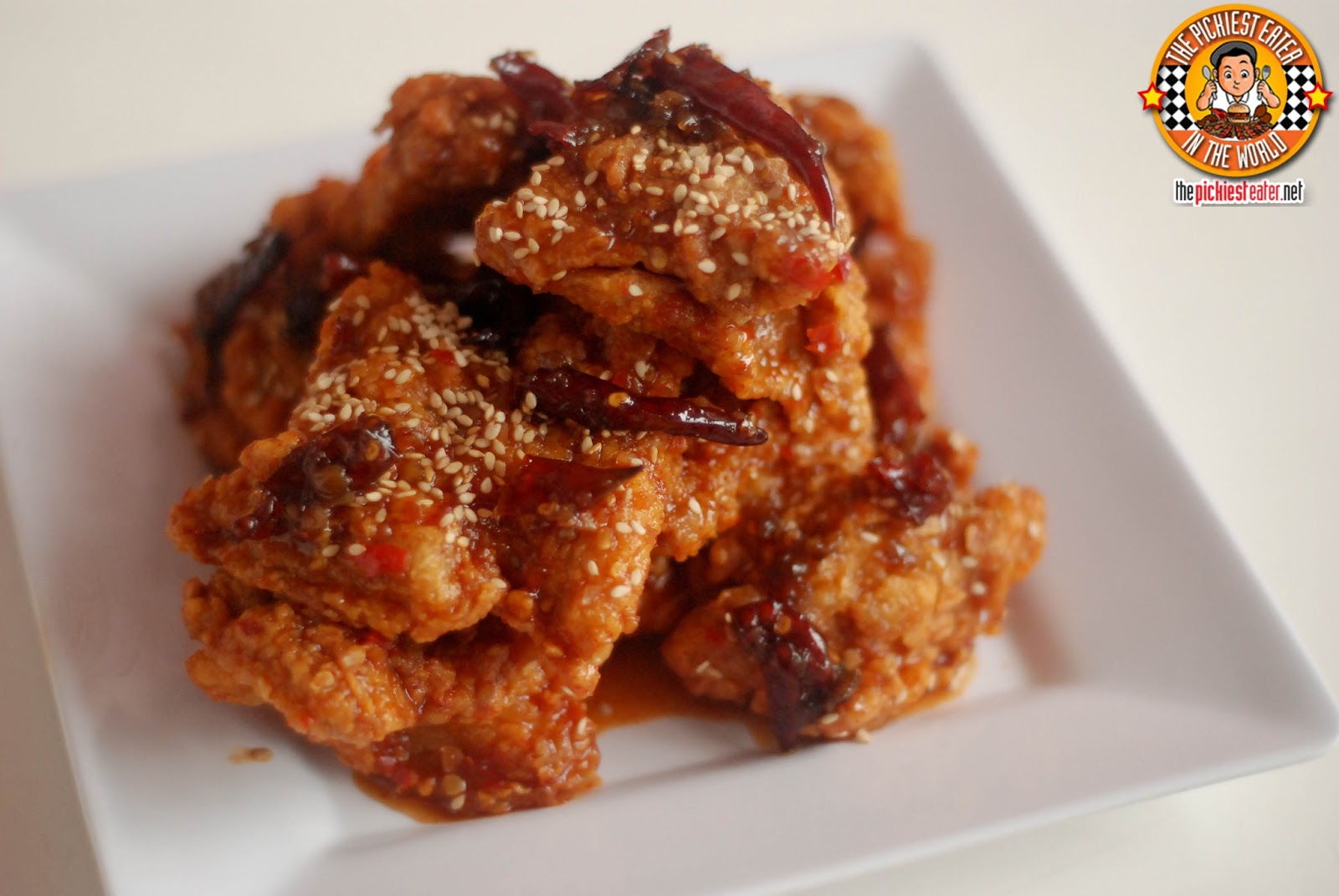 THE PICKIEST EATER IN THE WORLD: THIS IS A HOLDAK!