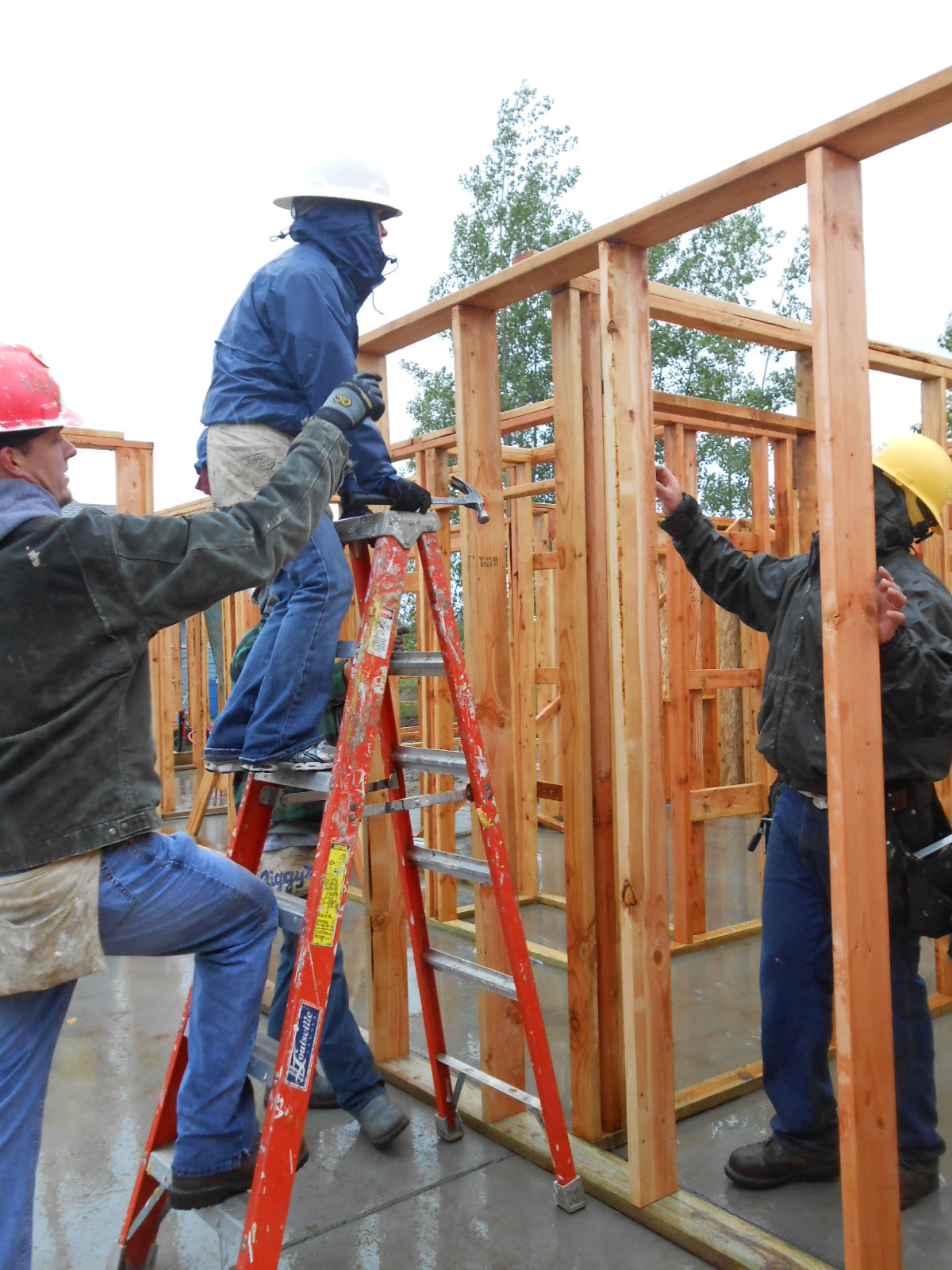 The Hardware Chronicles