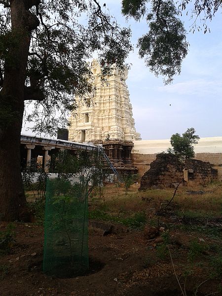 Tamilnadu Tourism: Krishnapuram Venkatachalapathy Temple – The Temple