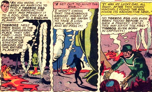 Who Are the Star Rovers?