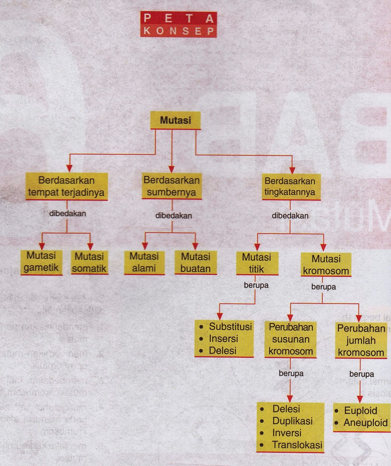 MUTASI | BIOLOGI STPC