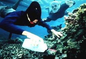 Mengenal Destructive Fishing Yang Merusak Laut | IKAN DAN LAUT