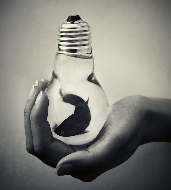 ZSDesignx: 40+ Outstanding Examples of Conceptual Photography!