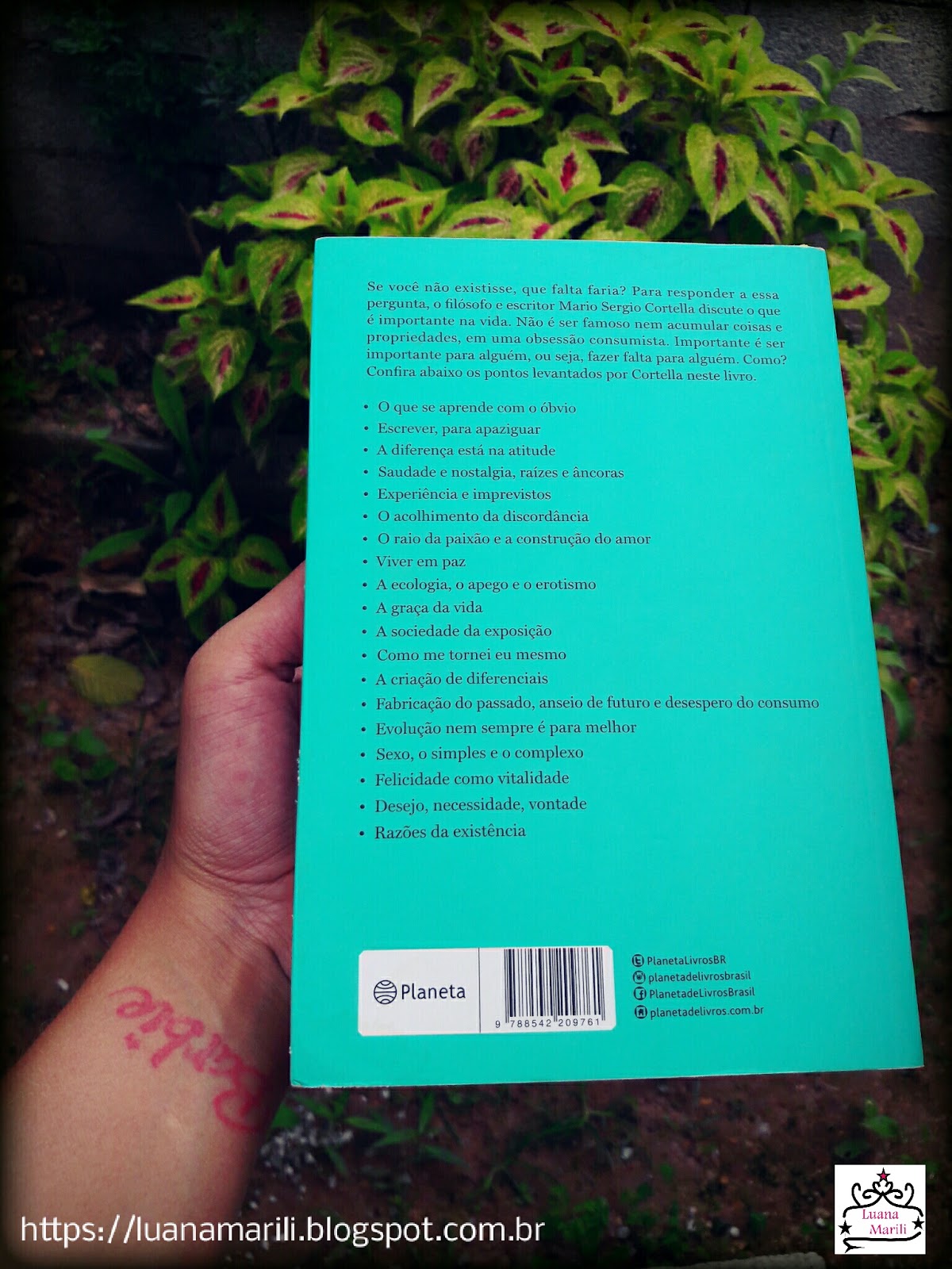 Viver em paz para morrer em paz – Leia com Luana Marili - Blog Luana Marili Viver em paz para morrer em paz – Leia com Luana Marili - Blog Luana Marili