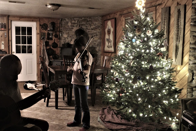 Our Little Homestead