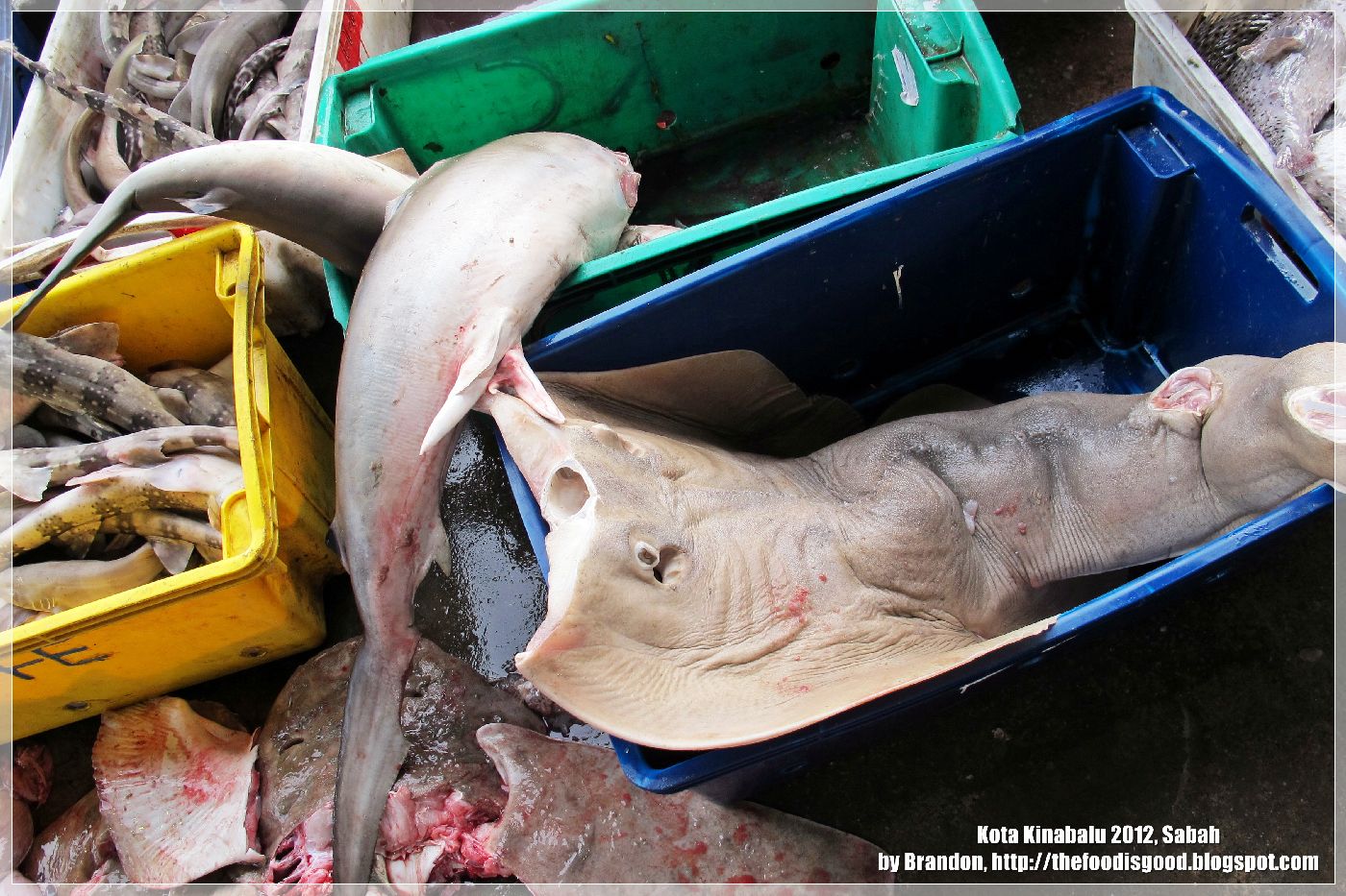 My LIFE, Food & Travel Experience ~ Malaysia, Taiwan & the World: Trip ...