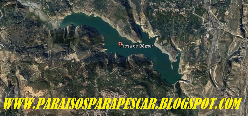 PARAÍSOS PARA PESCAR: EMBALSE DE BÉZNAR