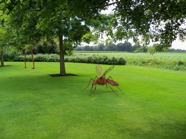 De tante van Tjorven: De beeldentuin in Gees