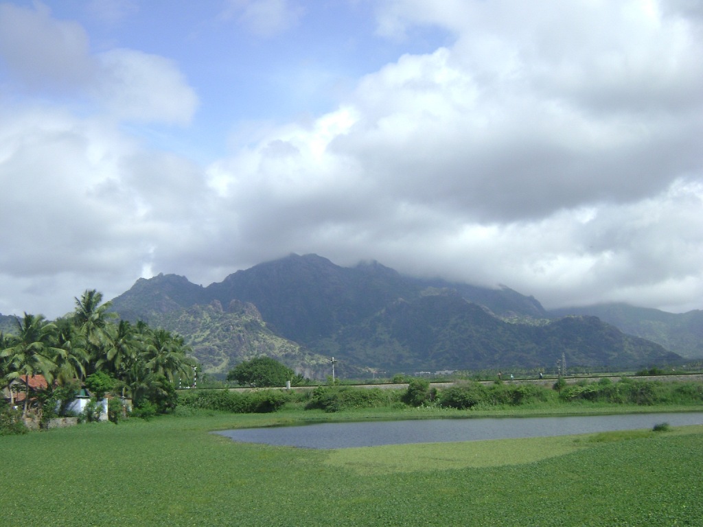 Tamilnadu Tourism: Kalikesam Forest & Waterfalls, Kanyakumari