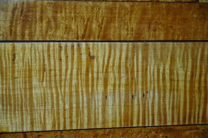 Field Biology in Southeastern Ohio: Maples of Ohio