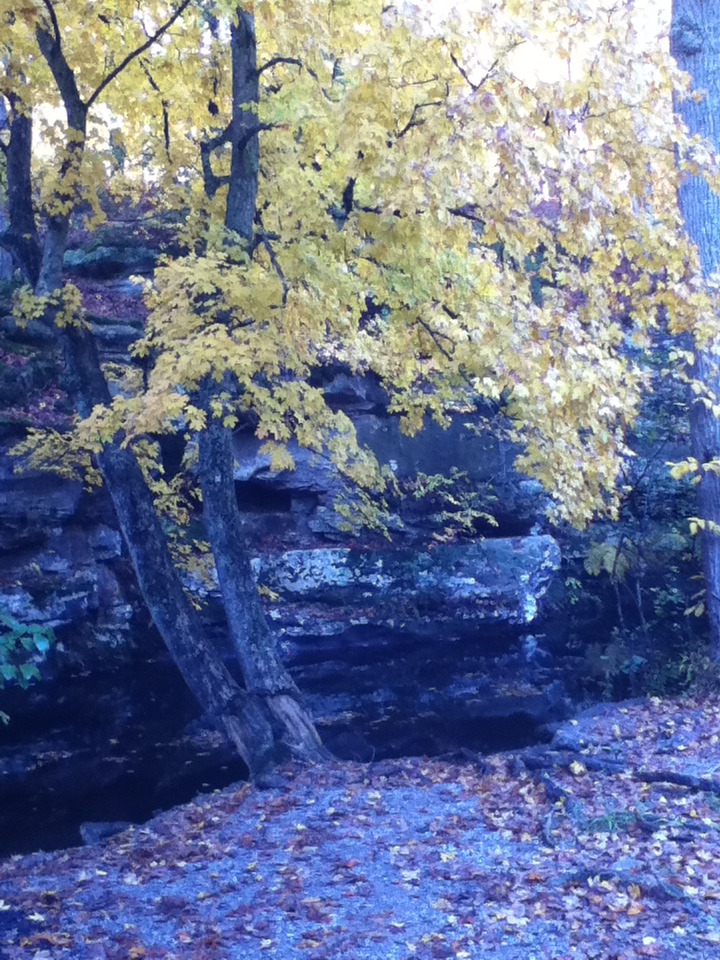 A Travelers Post..... : Southern Illinois - Shawnee National Forest