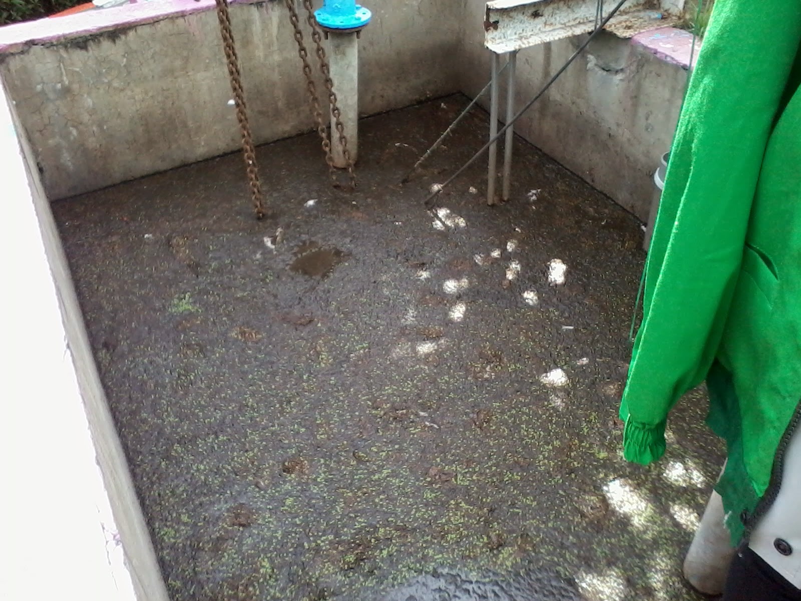 Instalasi Pengolahan Limbah Tinja (IPLT) Keputih Surabaya