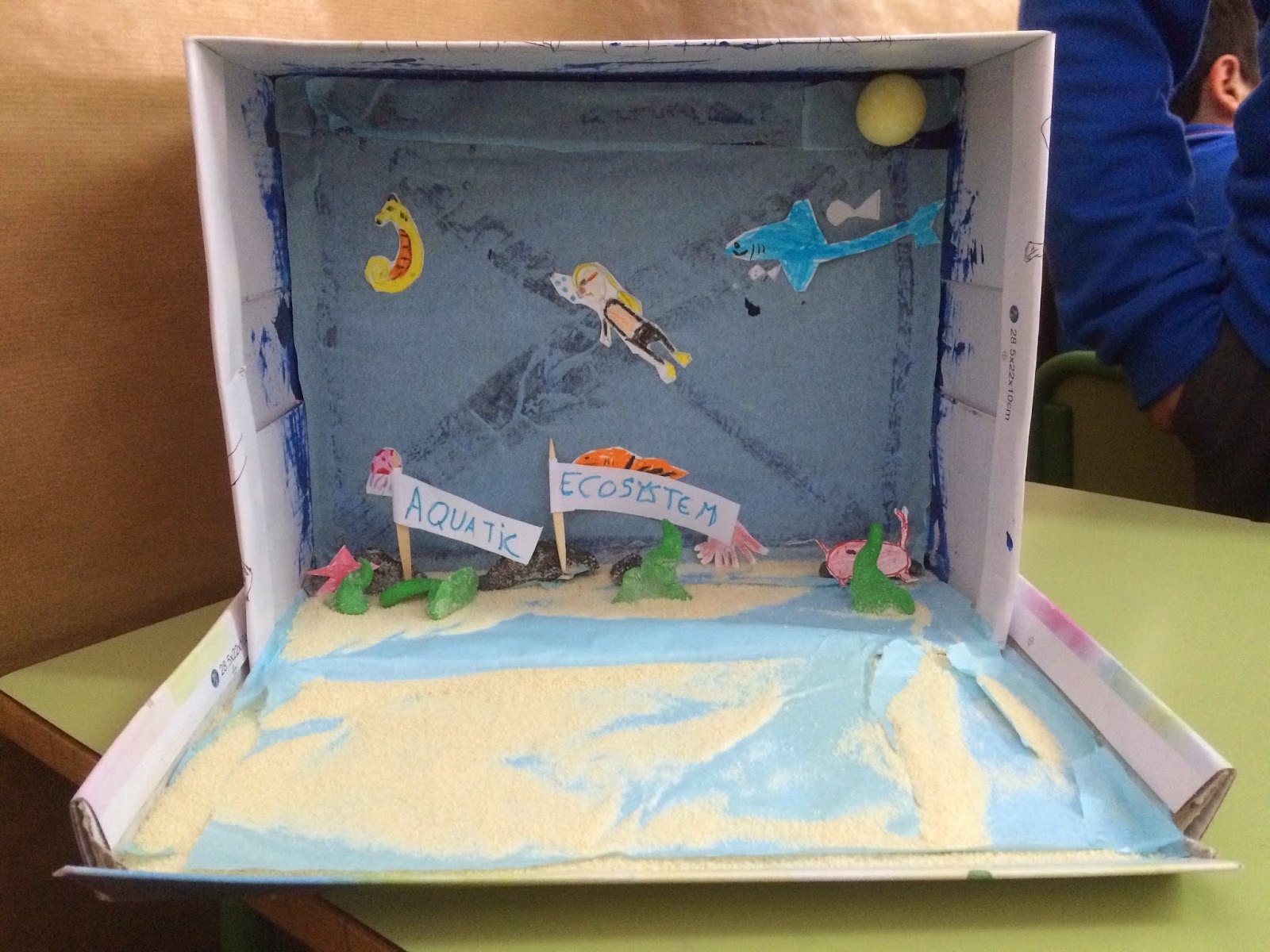 SCIENCE IS FUN!: SCIENCE PROJECTS 6TH GRADE