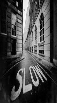 Projet relationnel: Slow Science. La désexcellence.