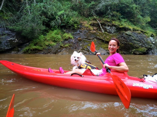 To Dog With Love: How to Kayak With Your Dog