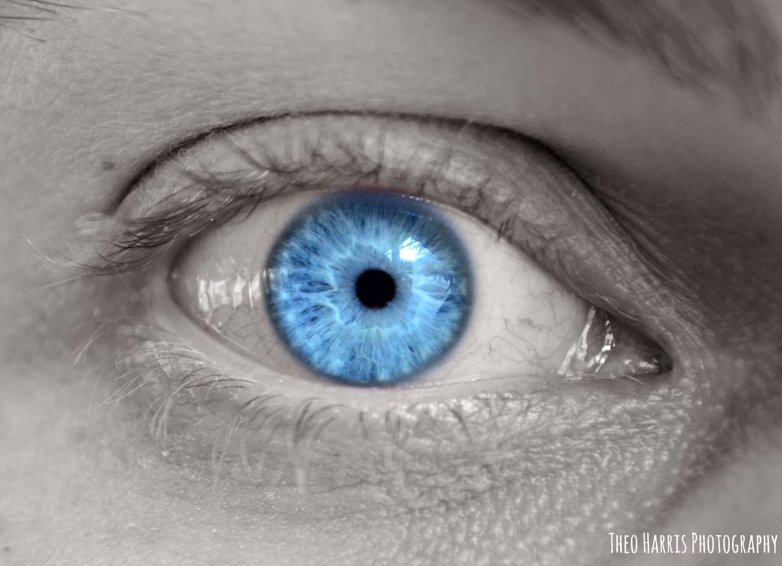 The Viz: Eyes: The Windows to the Soul