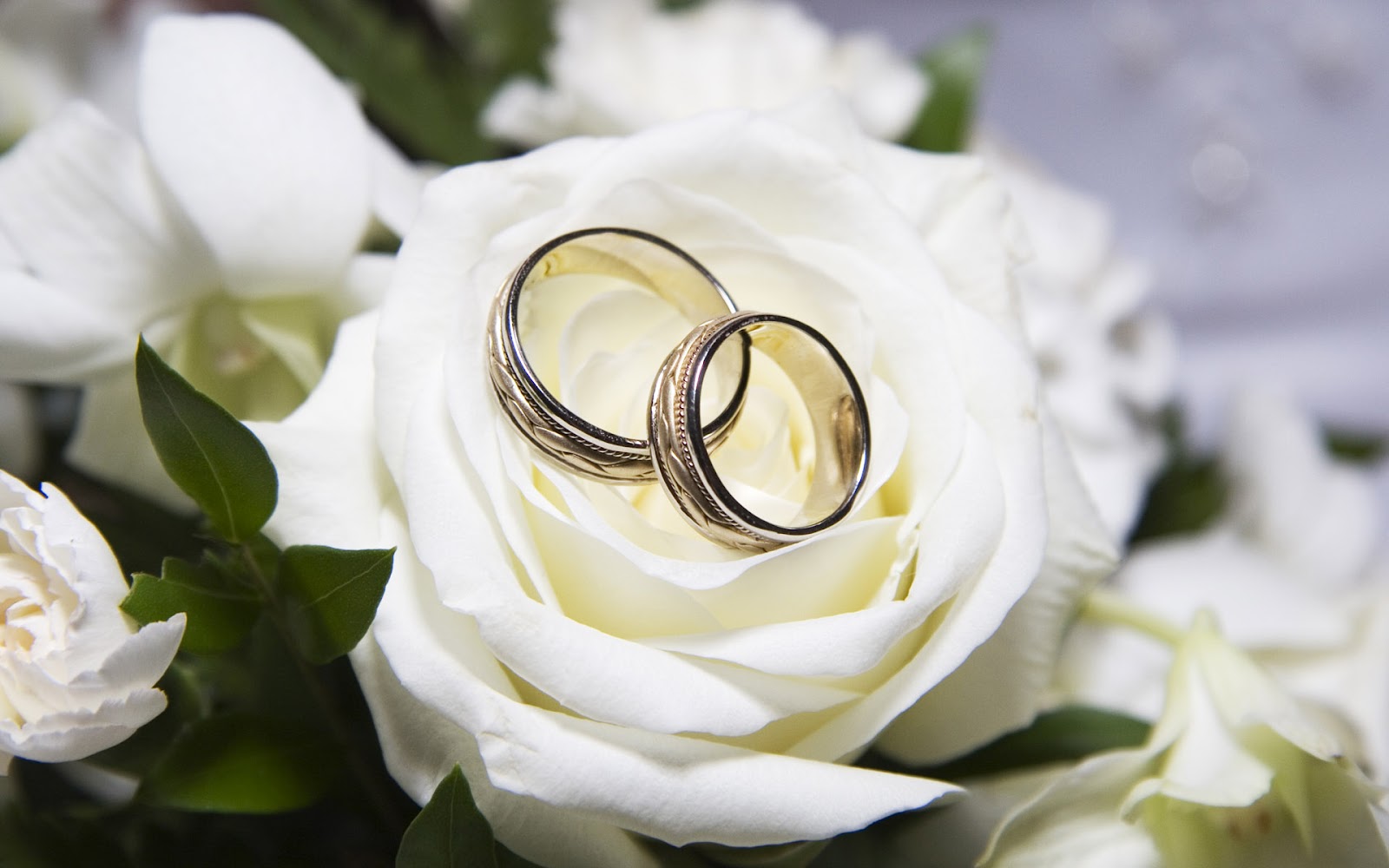 Choosing Your Perfect Wedding Rings - Wedding Tips