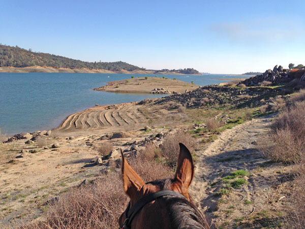 Trails (and Trials): conversations with Major: boring