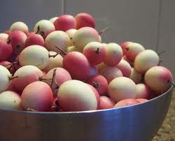 DIET WHAT IT REALLY MEANS!!!!!!!!: All About Karvanda(karonda)