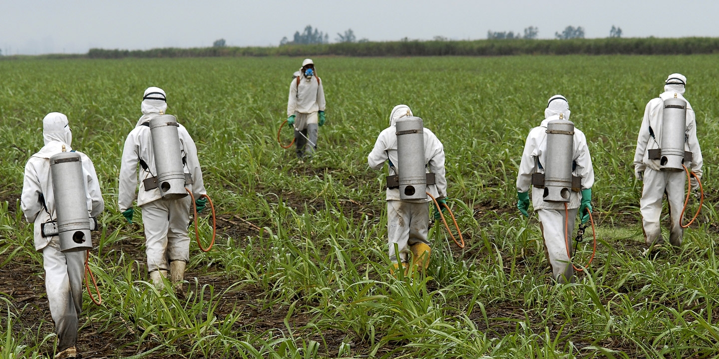 MEC&F Expert Engineers : ROUNDING UP MONSANTO'S ROUNDUP: Starting July ...