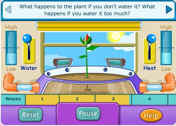 Warren Sparrow: Learn about how plants grow Interactive