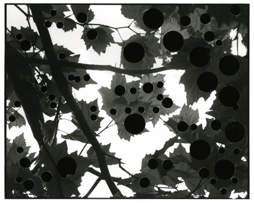 Visual Exploration, Holly Childs