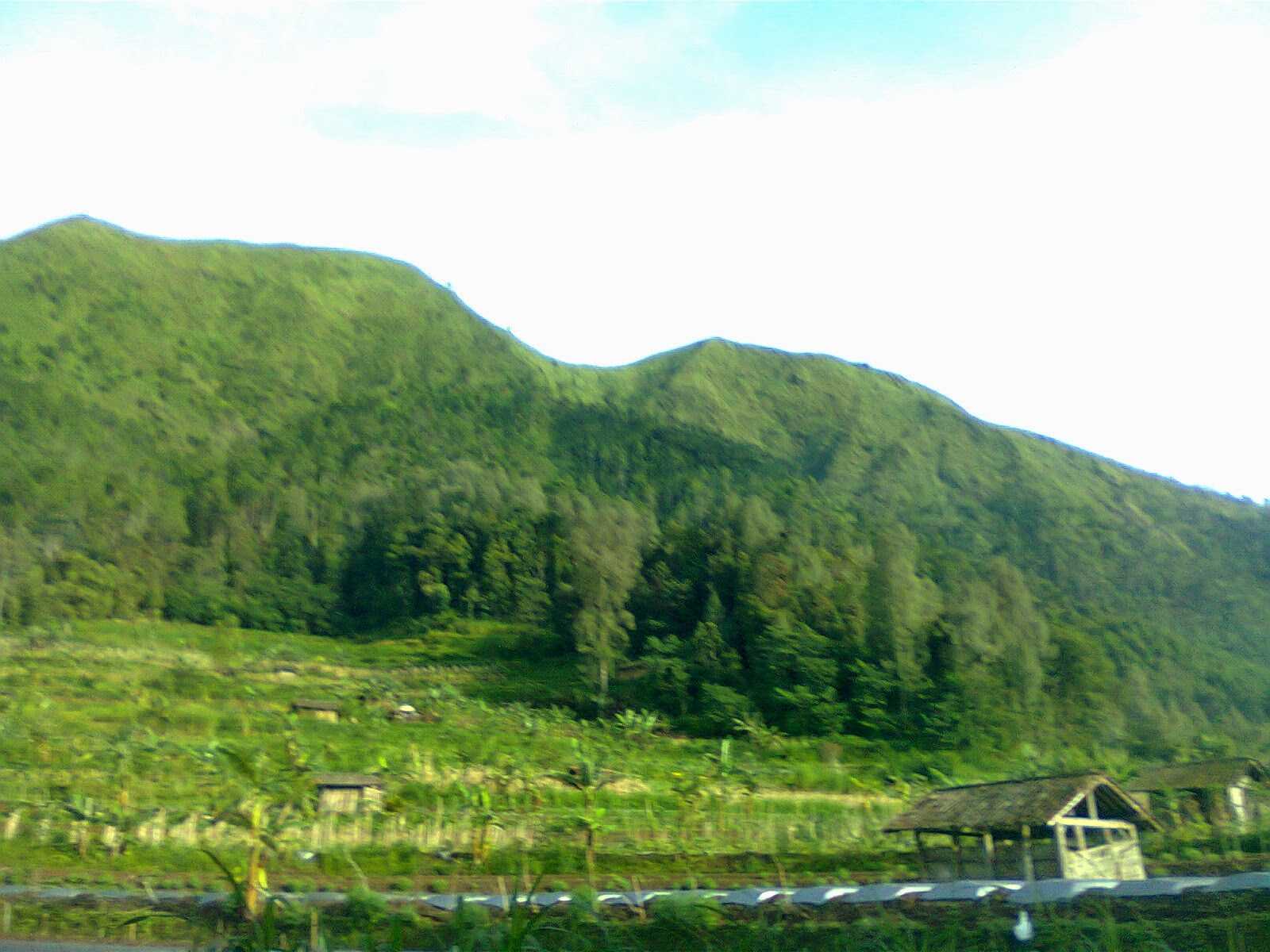 Mount Andong, neighbourhood hiking | Travelanggi