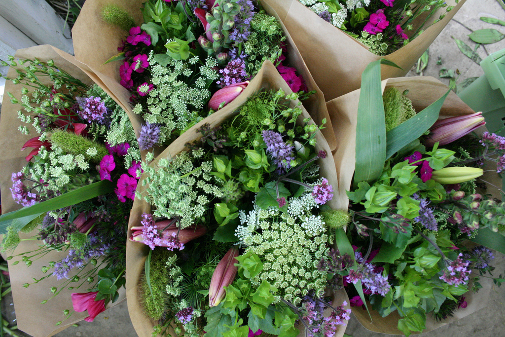 paradis express: Floret Organic flower farm