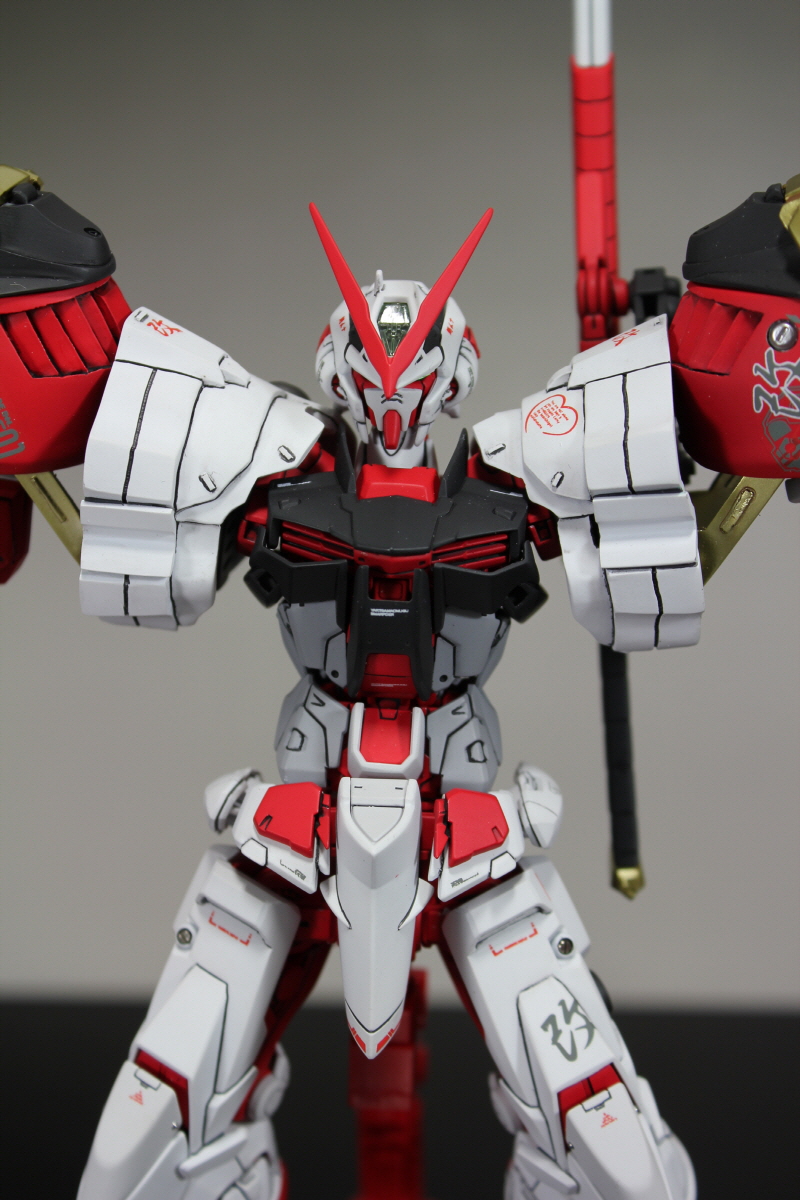 TORI the Modeller: MBF-P02 ASTRAY RED FRAME POWERED RED w/150M GABERA