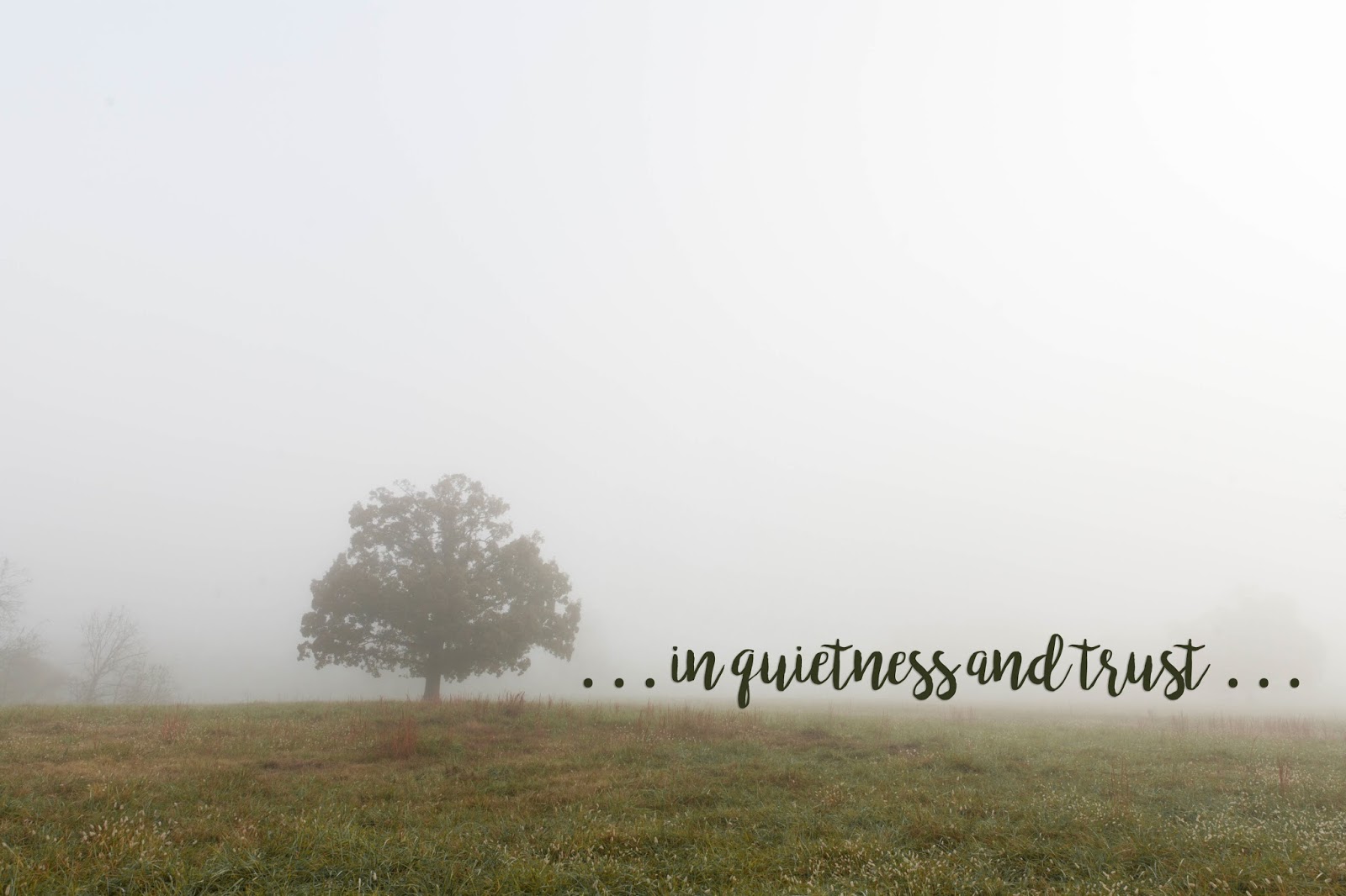 Quietness and Trust - Treasure the Ordinary