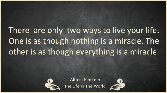 Life Quotes : Part 57 | The Life in The World