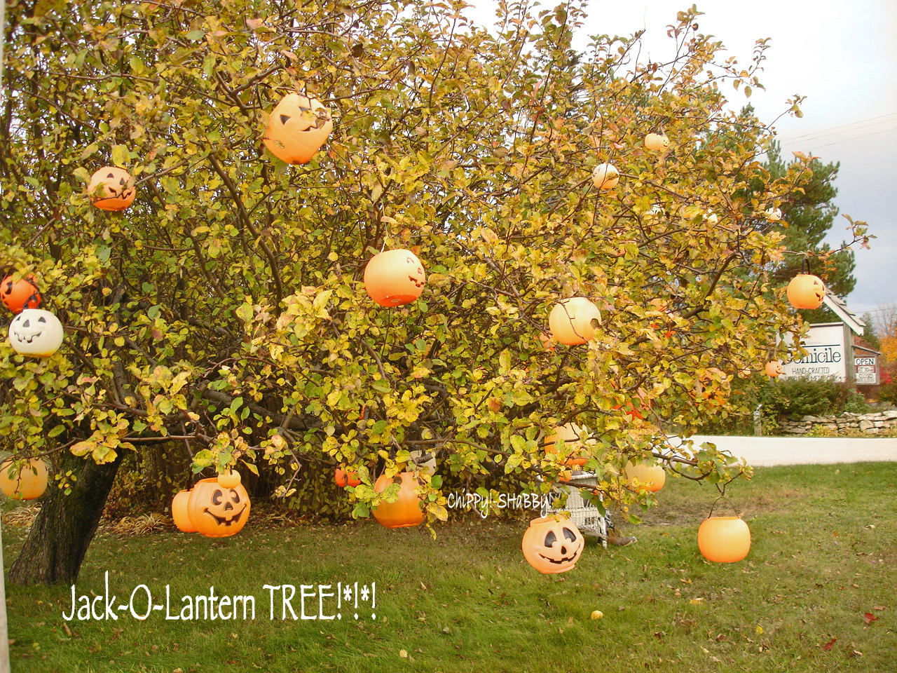 ChiPPy! - SHaBBy!: F*A*L*L in Door County - Wisconsin...