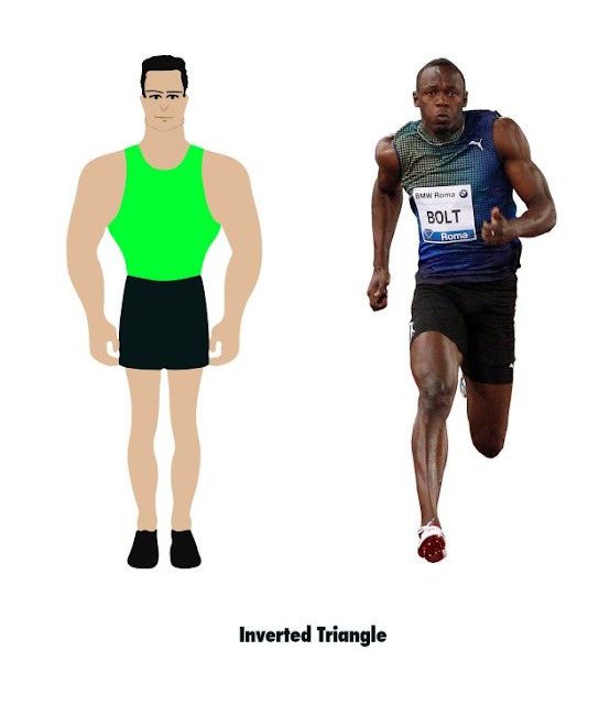 Fittings Division : Men's Body Shapes