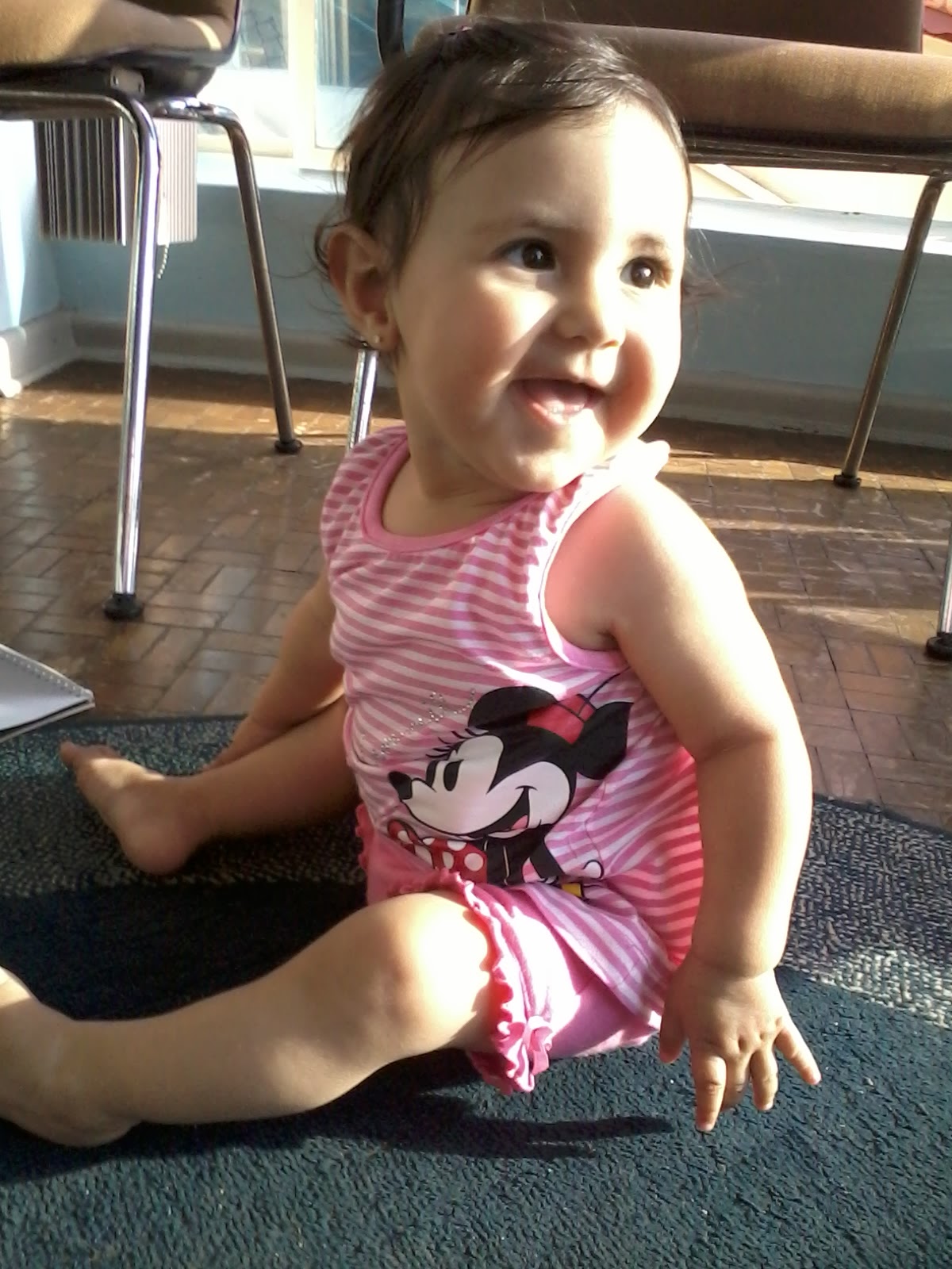 Desejo Baby - da Espera a sua Chegada: 10 Meses - Giovana