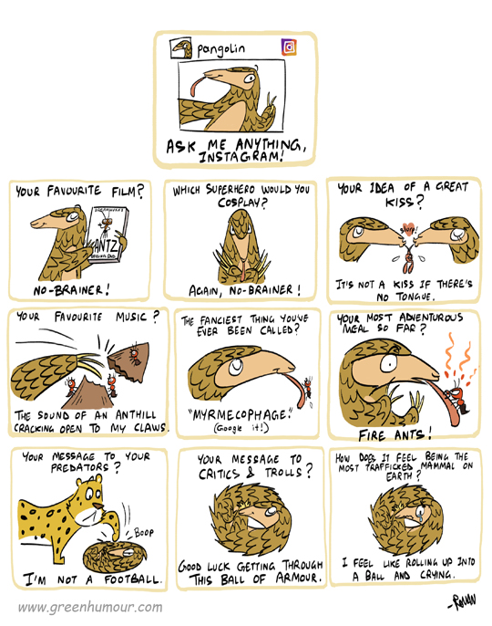 Green Humour: Ask Me Anything with the Pangolin